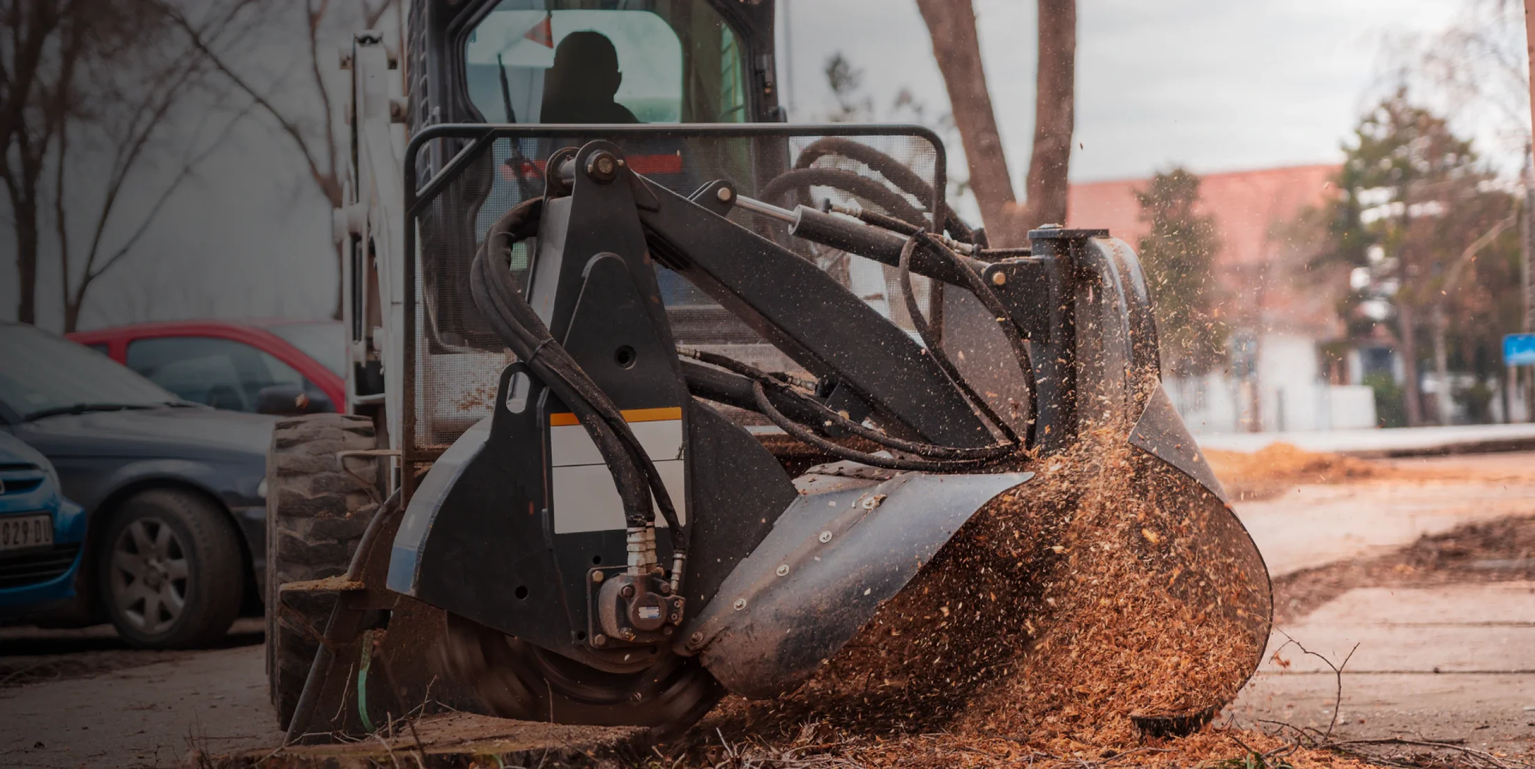 Stump Grinding Green Bay, WI | Free Estimates | Bigfoot